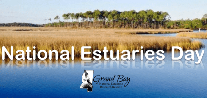 Grand Bay NERR Celebrates National Estuaries Day | Our Mississippi Home
